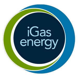 Smap3D Reference: iGas energy GmbH