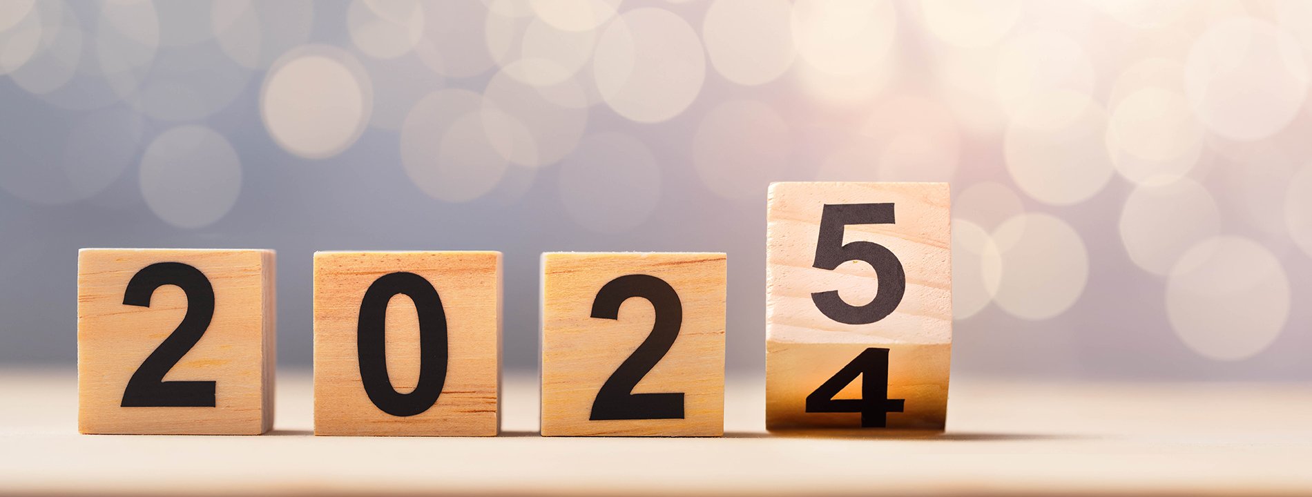Looking back on a successful year 2024